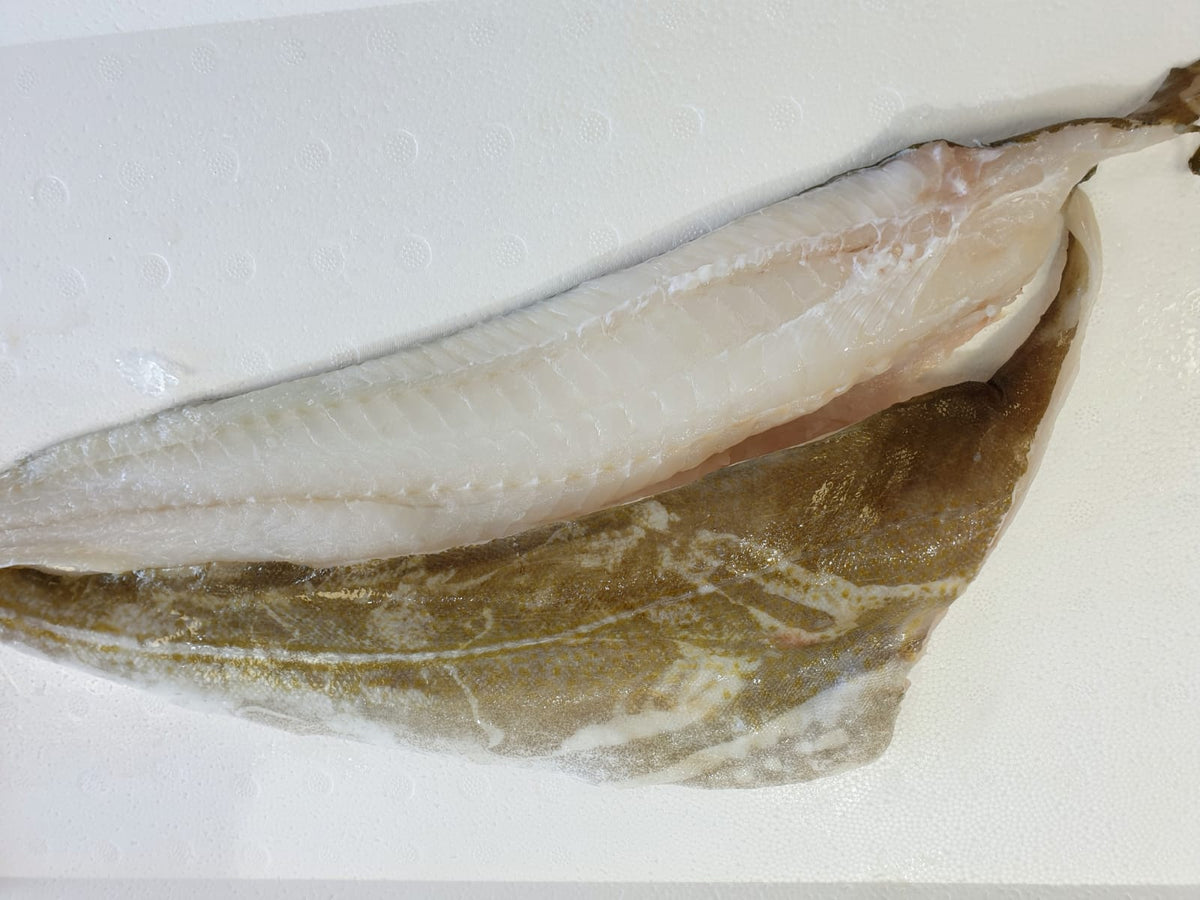 Fresh Cod Fillet | Excel Seafoods
