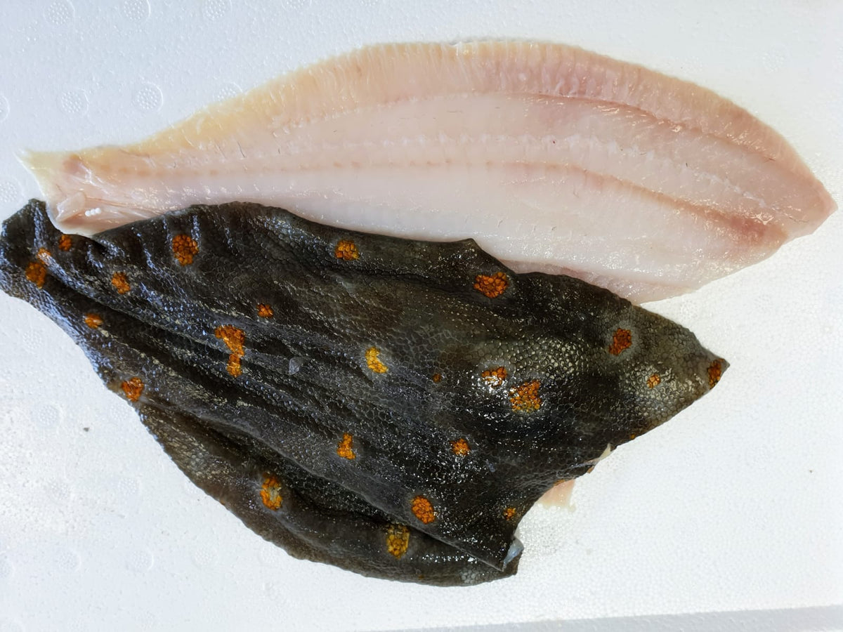Fresh Plaice Fillet | Excel Seafoods