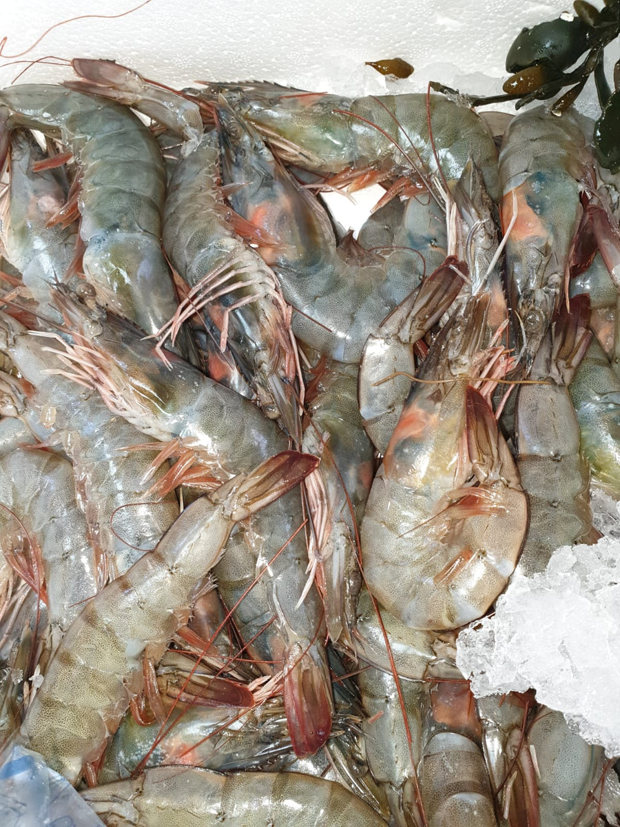Fresh Raw Crevettes | Excel Seafoods