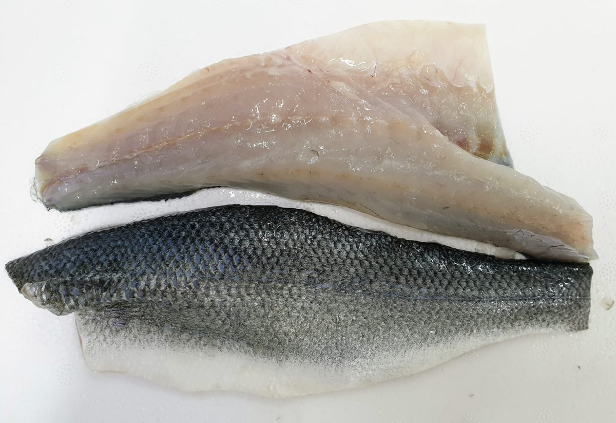 Fresh Sea Bass Fillets | Excel Seafoods