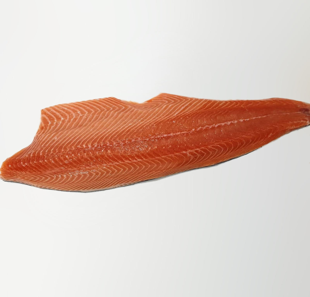 Fresh Salmon Fillet | Excel Seafoods